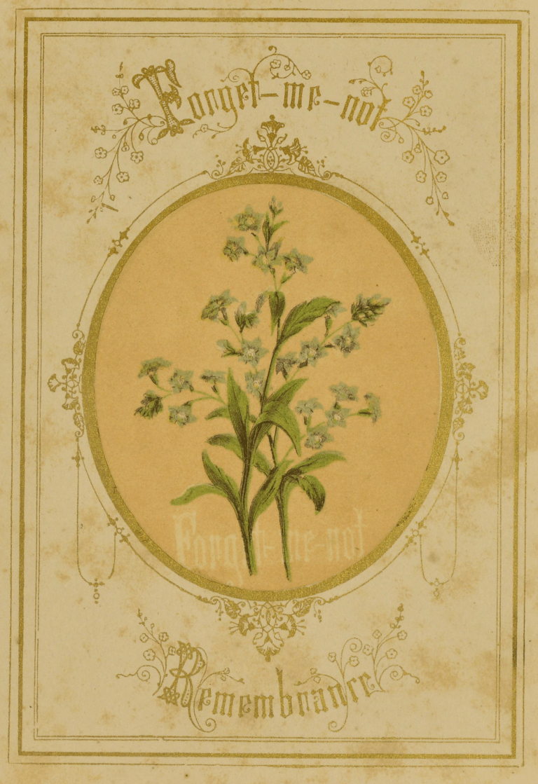 Life is a Flower: Memory and Memorial in the Language of Flowers ...