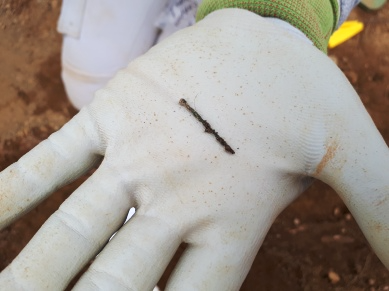 Archaeology of Coffins & Shrouds in Colonial North America – Grave Matters